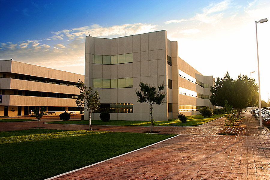 Universidad La Salle Victoria